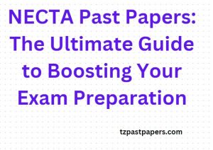 All Form Four NECTA Past Papers: Your Ultimate Guide - TZPASTPAPERS