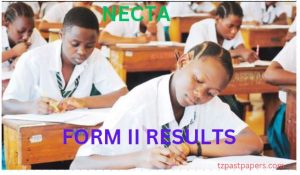 How to Check NECTA Form Two Results Online: FTNA Results 2023/2024 ...
